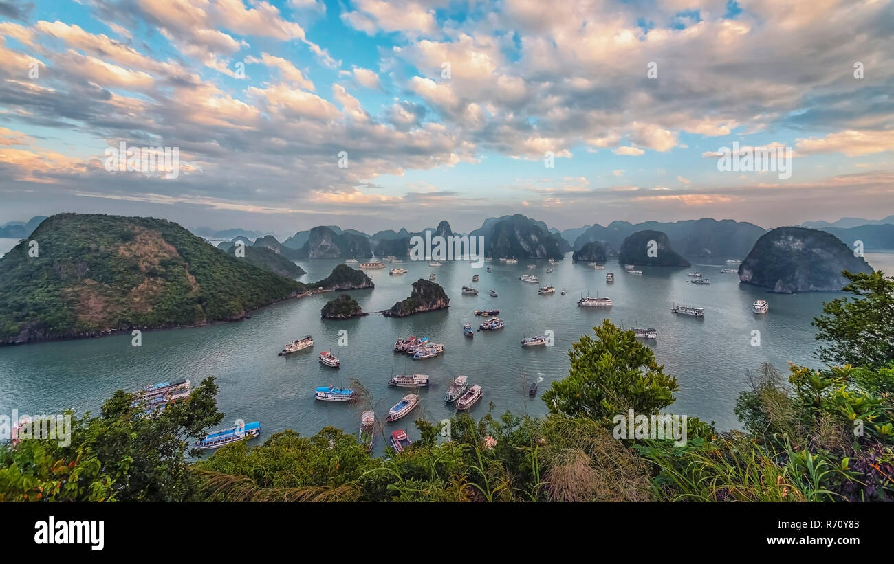 Ha background hi-res stock photography and images - Alamy
