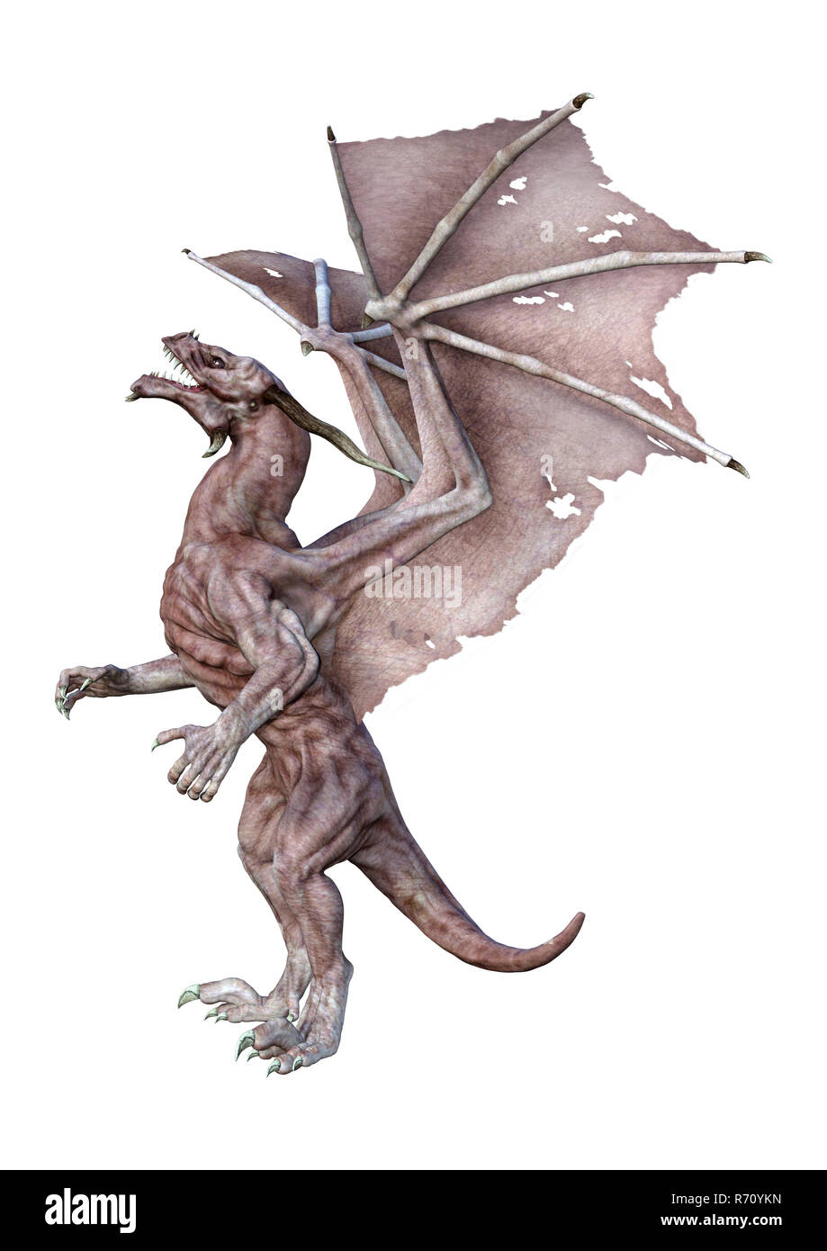 3D Rendering Fantasy Vampire Dragon on White Stock Photo - Alamy