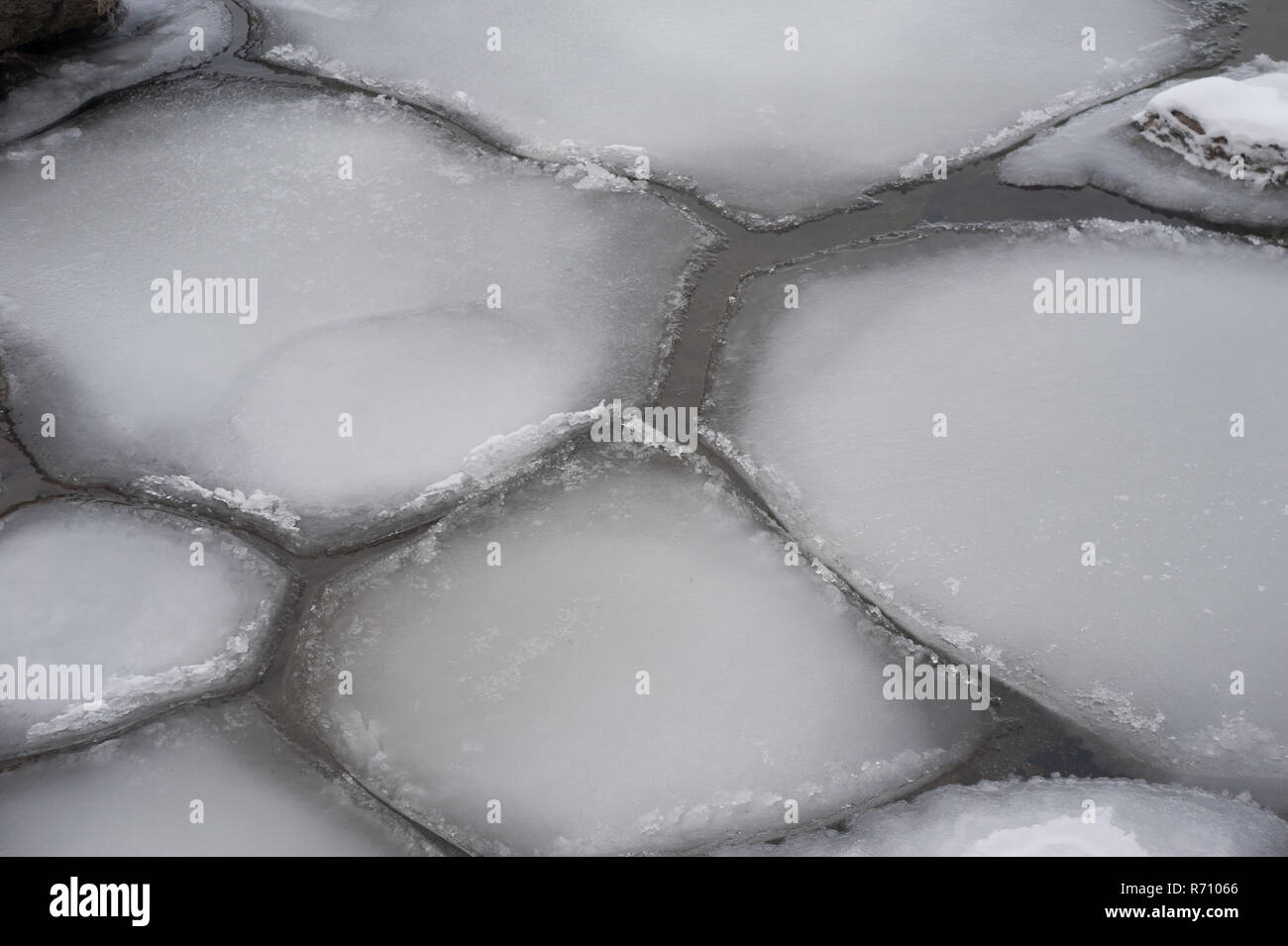 Irregular ice floes floating on water surface Stock Photo - Alamy
