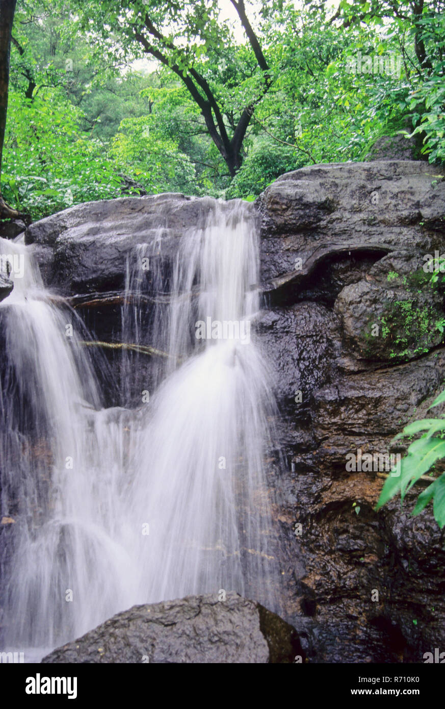 Waterfall at Malshej Ghat, Maharashtra, India Stock Photo - Alamy