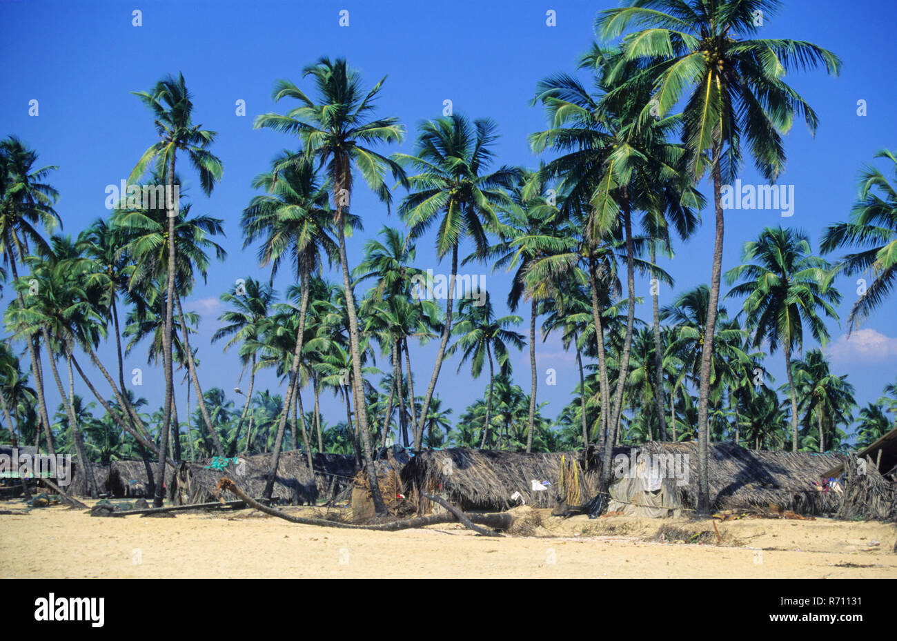 Beach shack colva goa india hi-res stock photography and images - Alamy