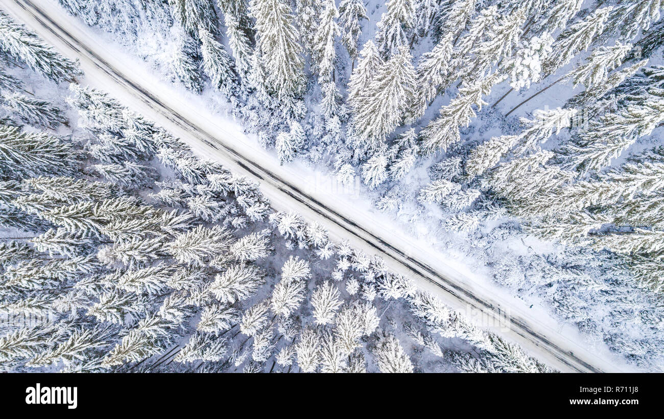 Snowy curved trees in forest hi-res stock photography and images - Alamy