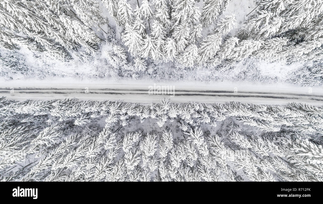 Above snow covered forest from hi-res stock photography and images - Alamy