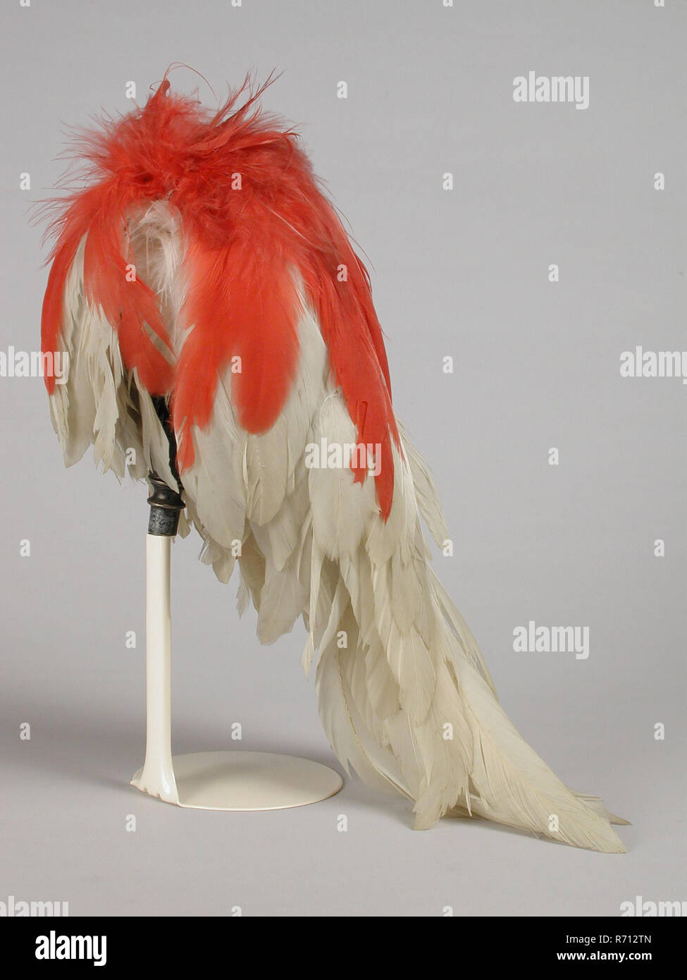 Panache feather hi-res stock photography and images - Alamy