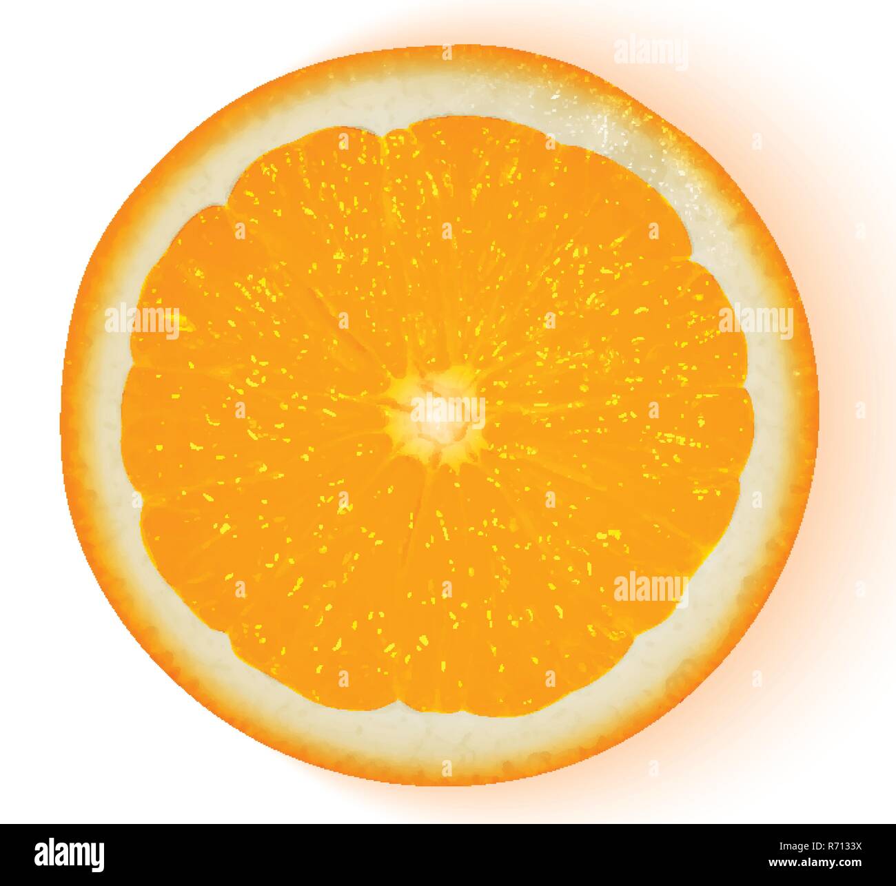 Orange fruit isolated on white background. Vector illustration Stock ...