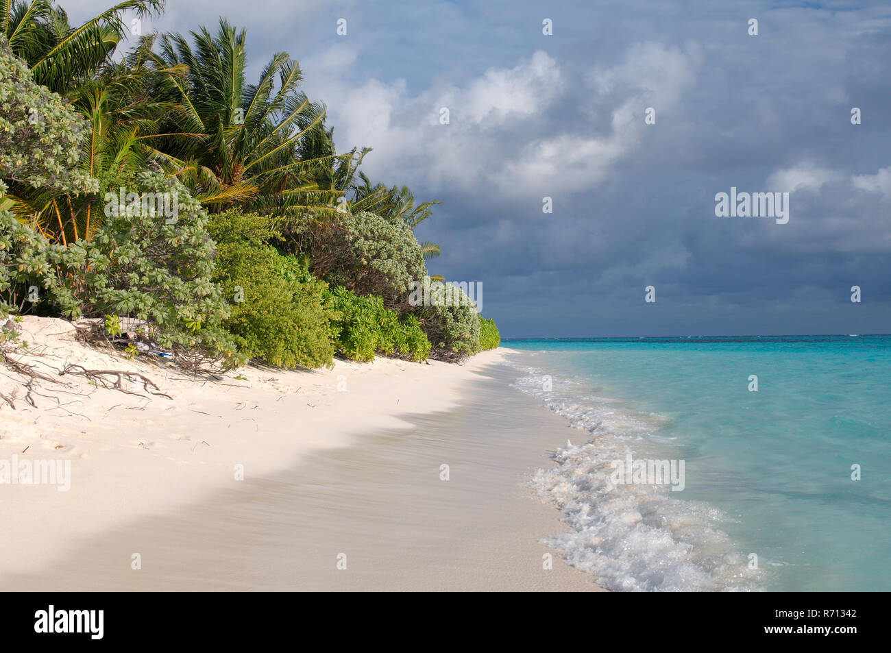 Coastal landscape, Thoddoo island, Indian Ocean, Maldives Stock Photo ...