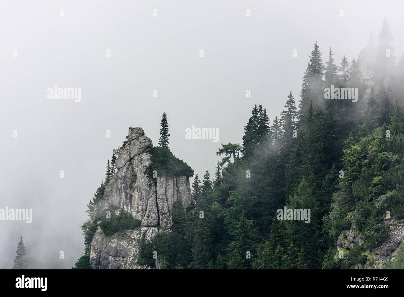Steep rocky cliffs and pine trees hi-res stock photography and images ...