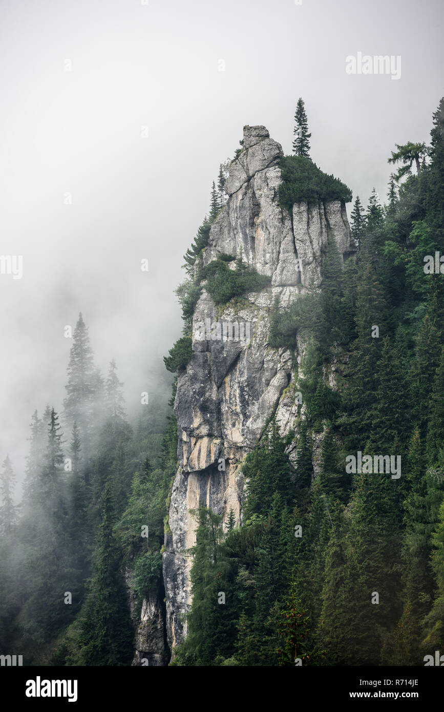 Overhanging cliffs, rocky slopes mountain range with trees Stock Photo ...