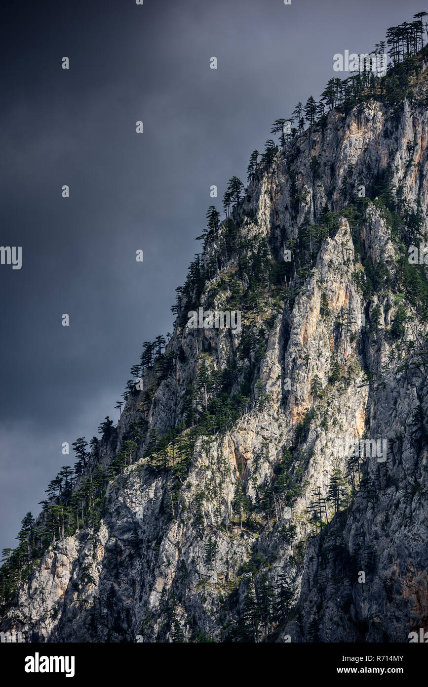 Overhanging cliffs, rocky slopes mountain range with trees Stock Photo ...
