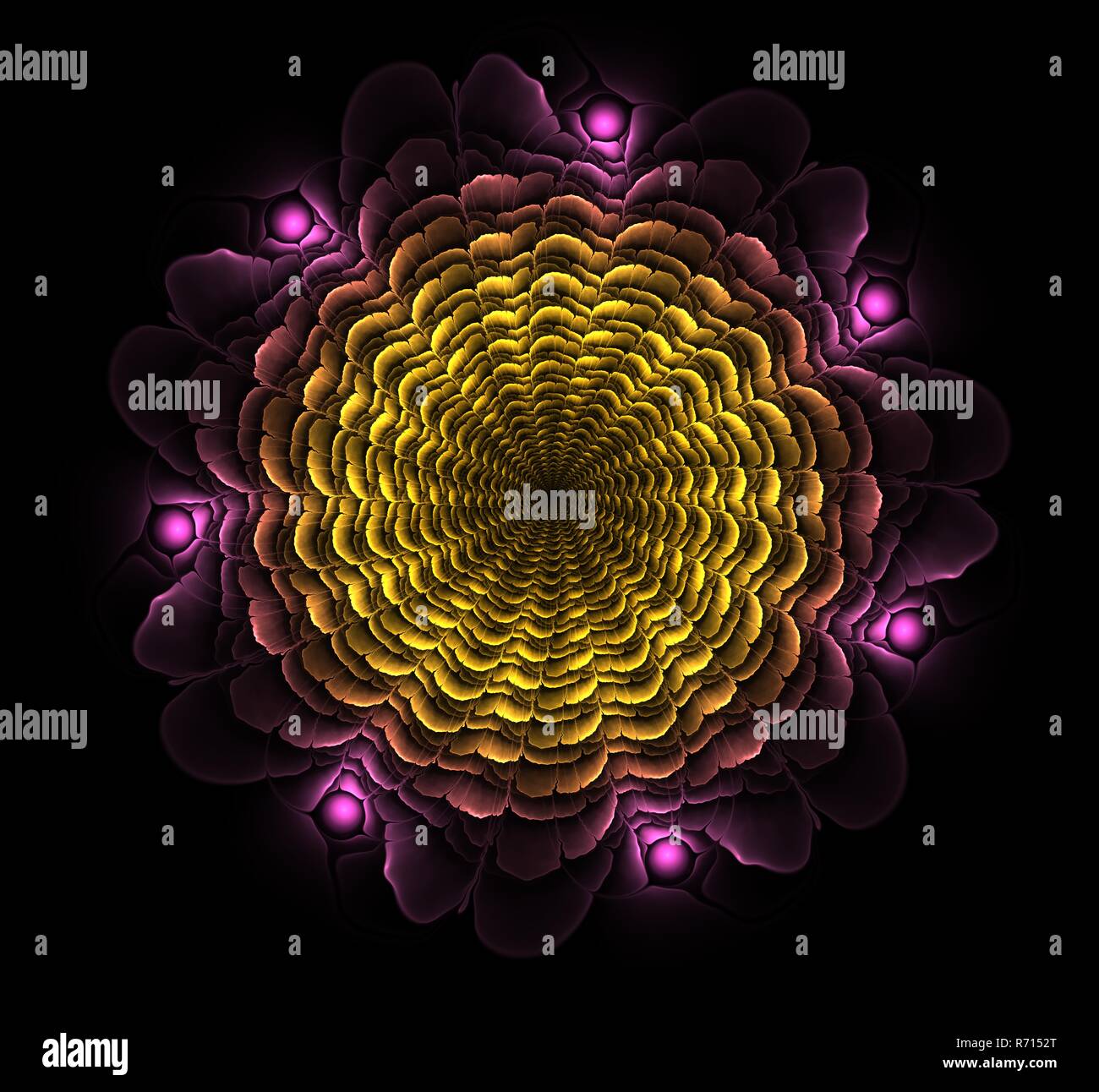 Beautiful fractal shapes illustration hi-res stock photography and ...