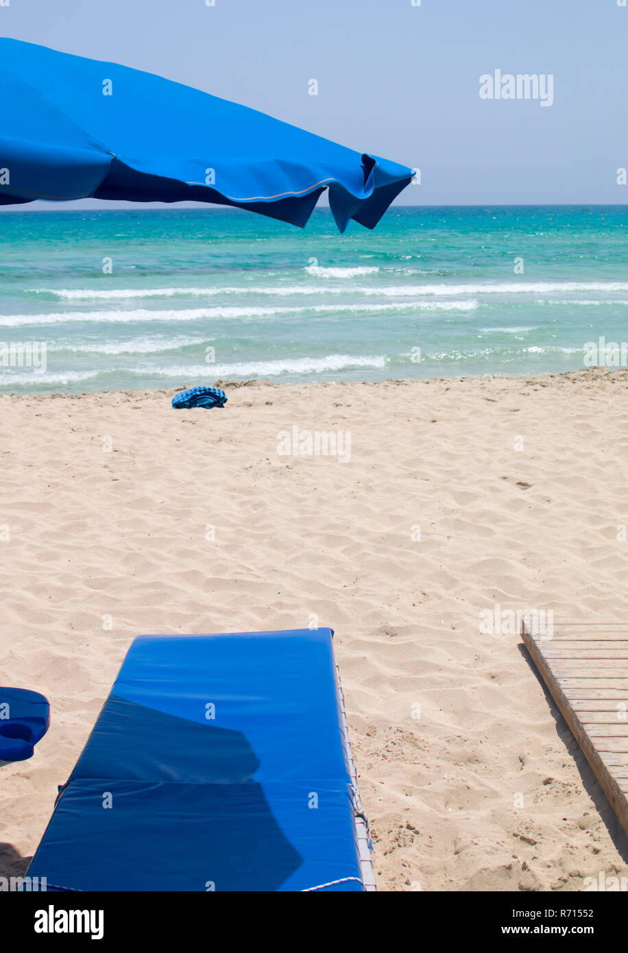 Beach and palm trees, sunny day Cyprus Stock Photo - Alamy