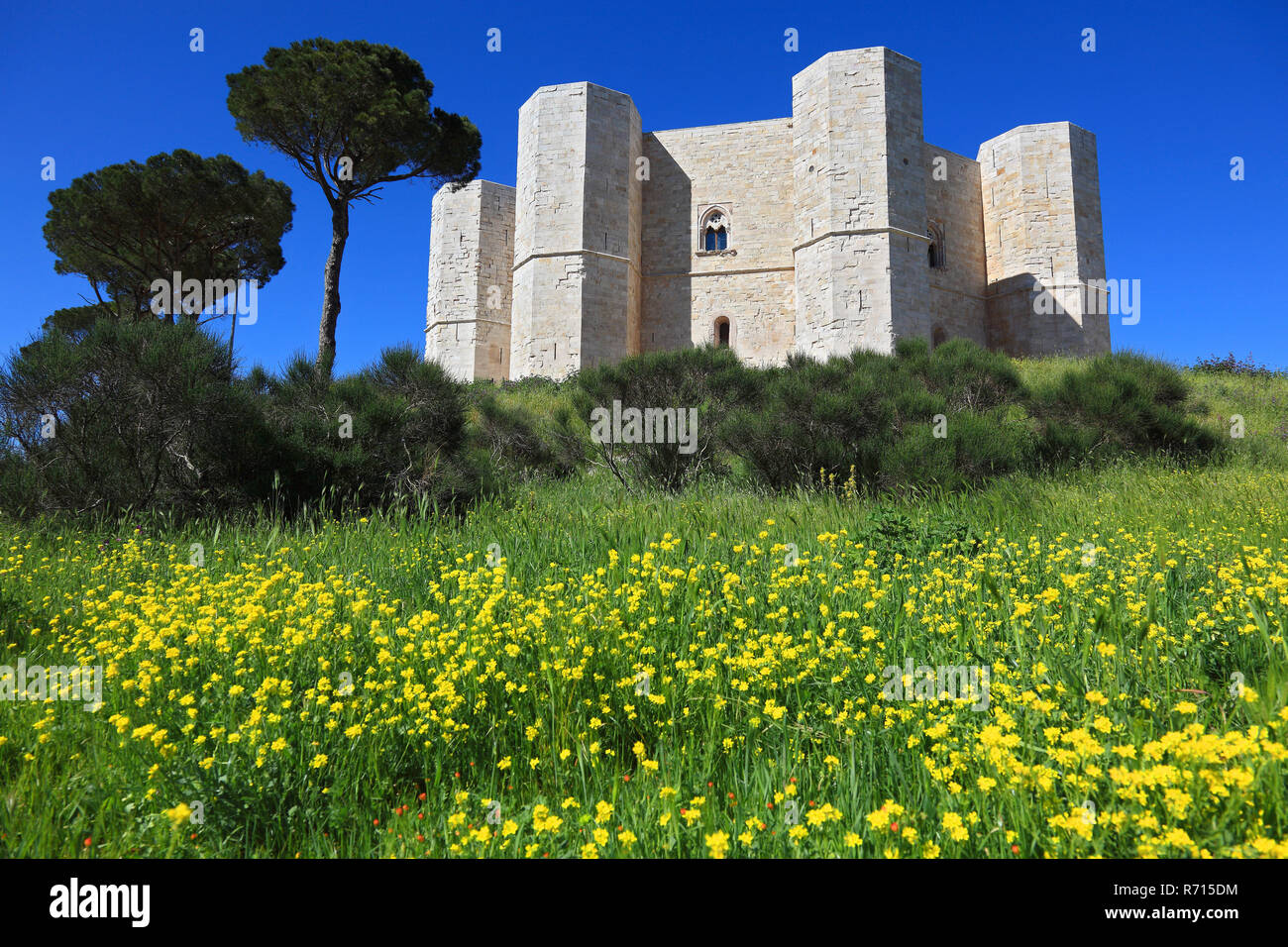 Castel del monte apulia italy hi-res stock photography and images - Alamy