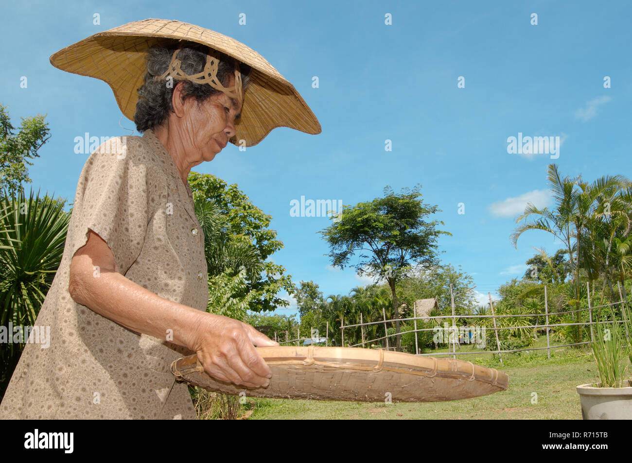 Cleaning rice hi-res stock photography and images - Alamy
