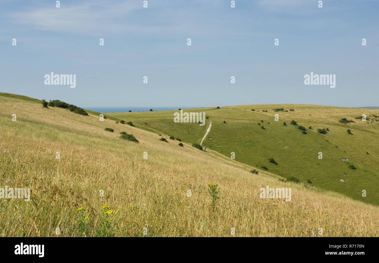 Top of the South Downs at Devils Dyke near Brighton, East Sussex ...