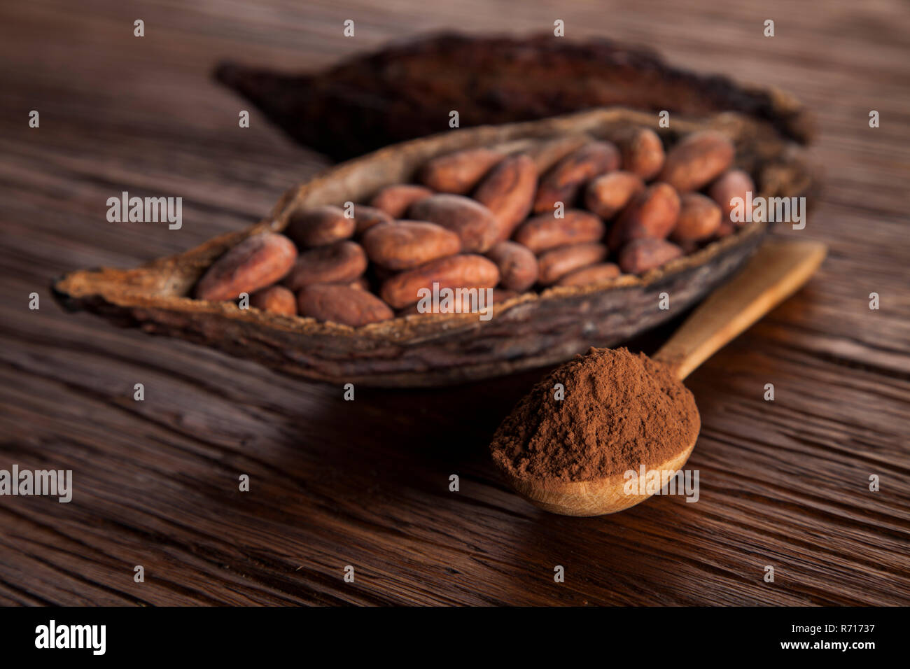 Cocoa beans in the dry cocoa pod fruit on wooden background Stock Photo ...