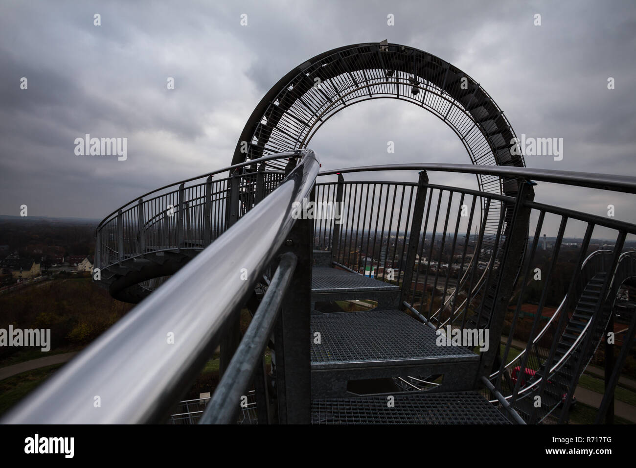 Tiger and turtle sculpture hi-res stock photography and images - Alamy