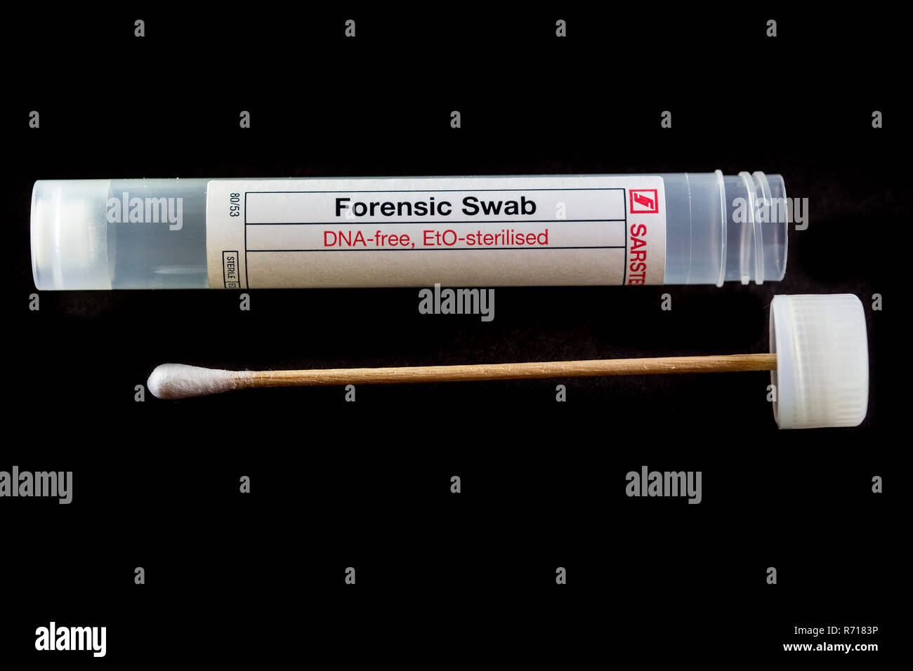 Forensic cotton swab for securing DNA, sterile, DNA trace analysis ...