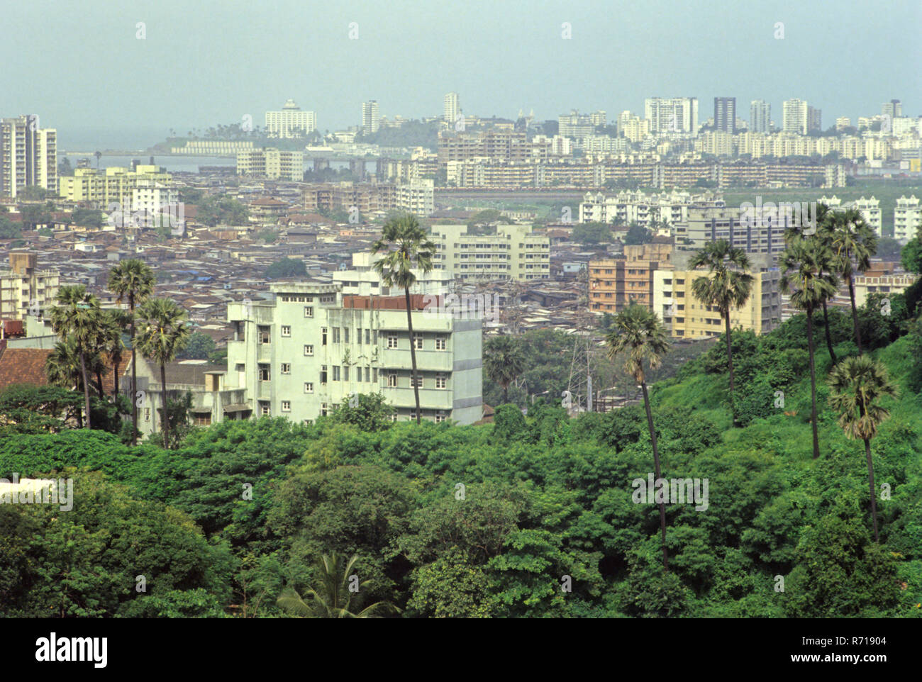 India high rise building with slum hi-res stock photography and images ...