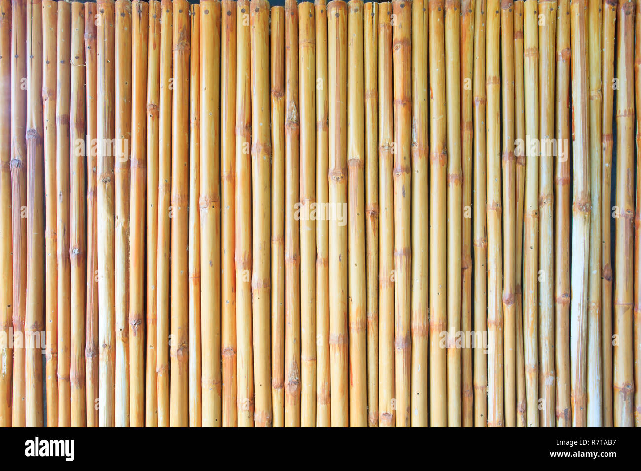 bamboo fence background Stock Photo - Alamy