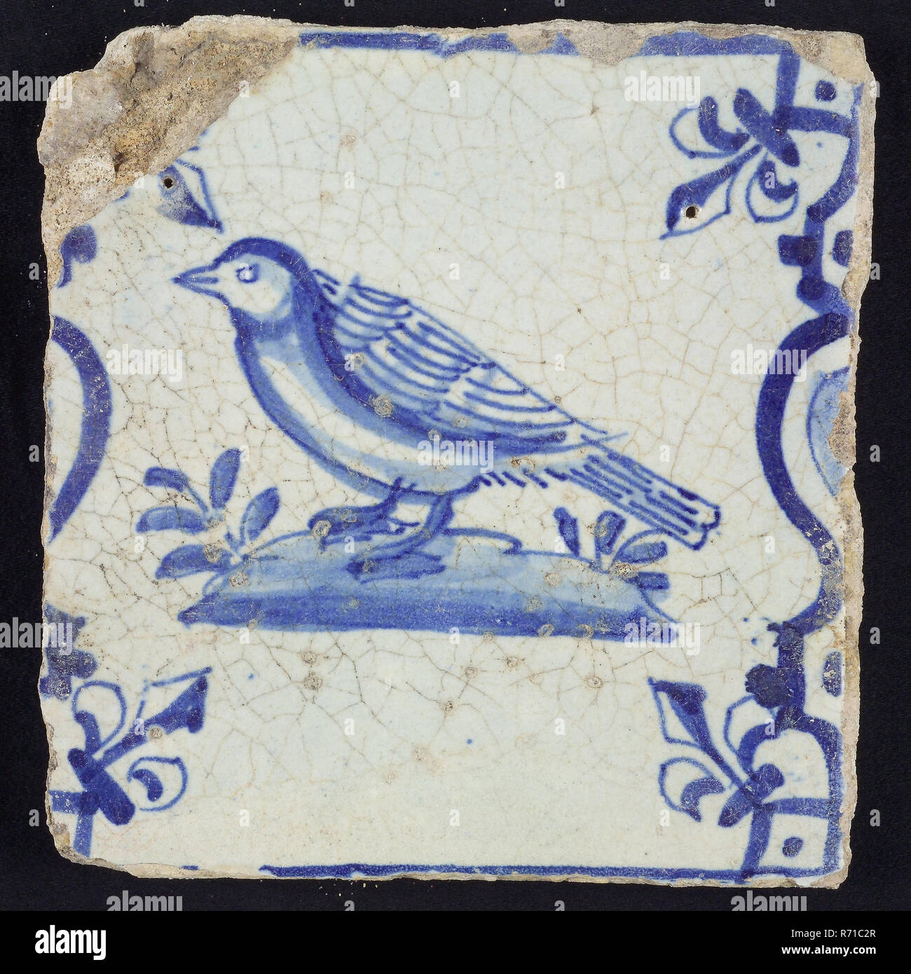 Blue painted french lilies hi-res stock photography and images - Alamy