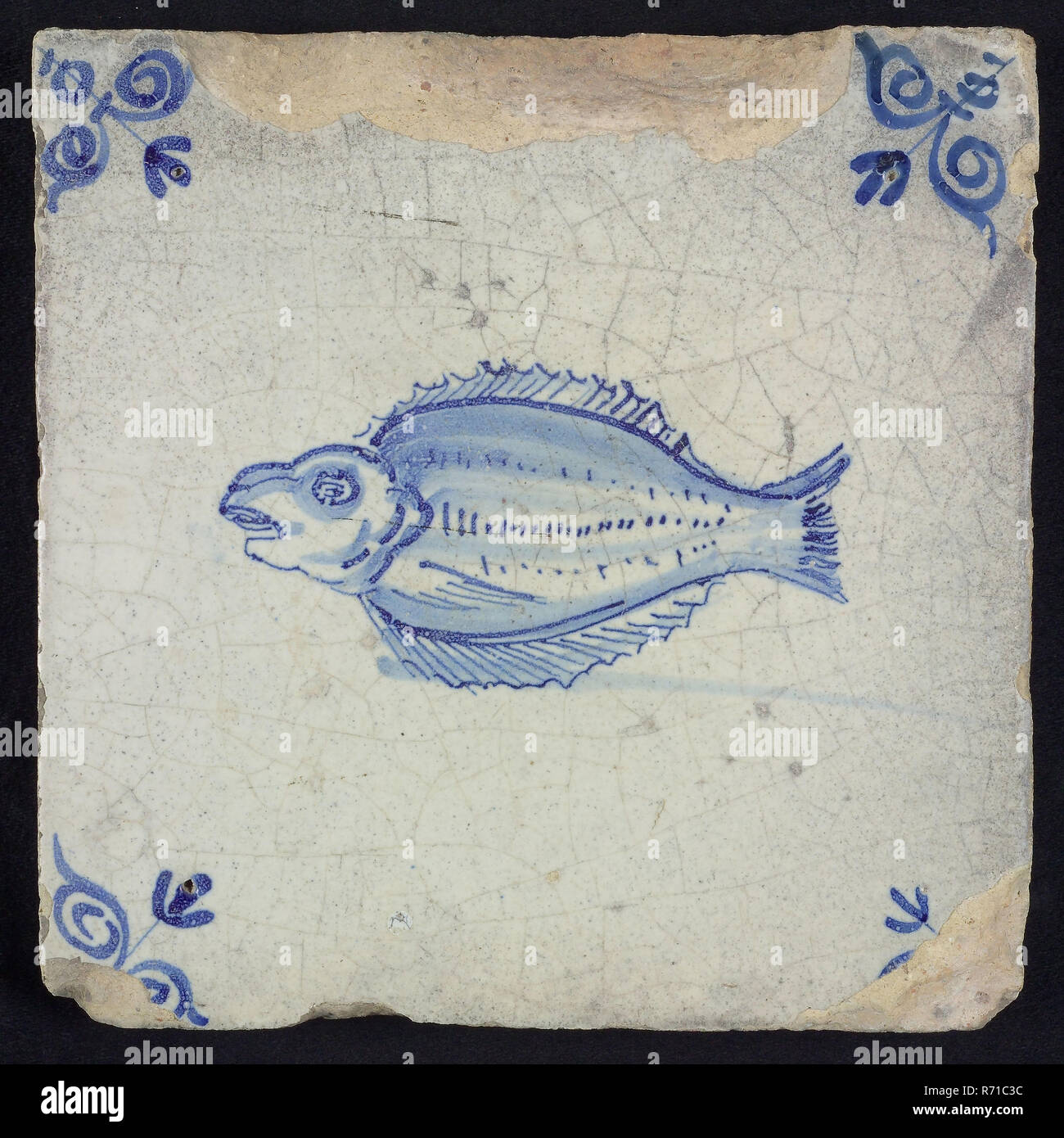 Animal tile, unknown fish in water to the left, in blue on white ...
