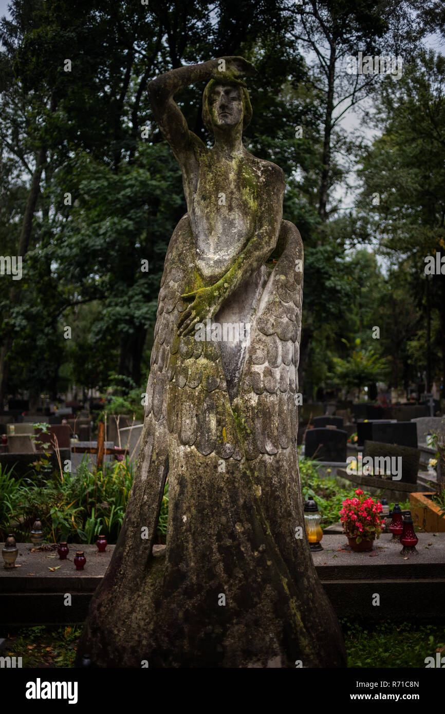 Tall Slender Shadow High Resolution Stock Photography and Images - Alamy