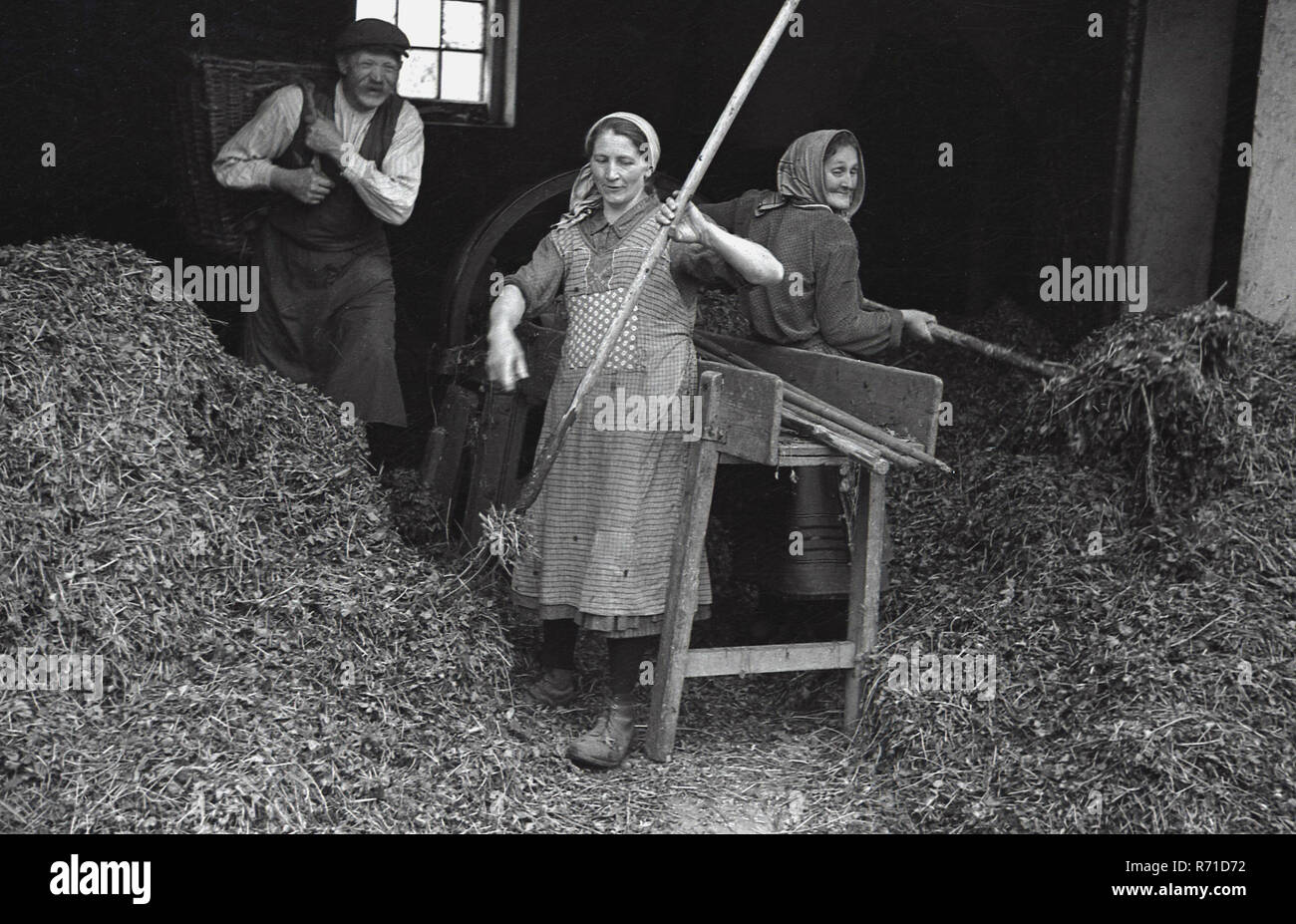 1930s, historical, pre-war, Sudentenland, czechoslovakia, three farm ...