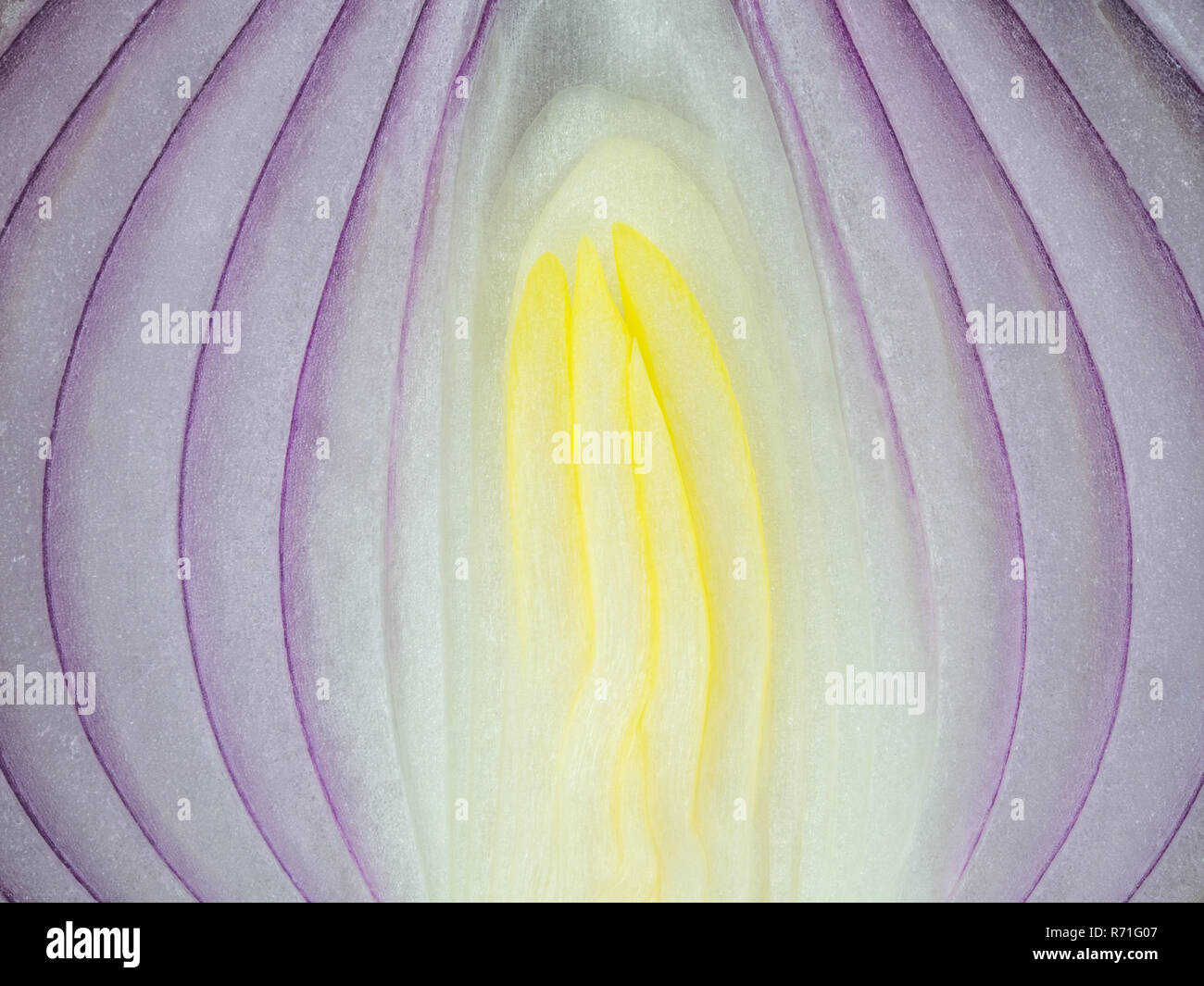 Red onion abstract background texture hi-res stock photography and ...