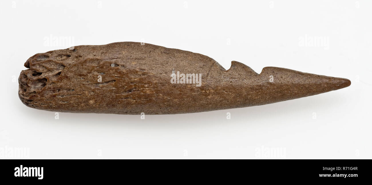 Rotterdam prehistoric hi-res stock photography and images - Alamy