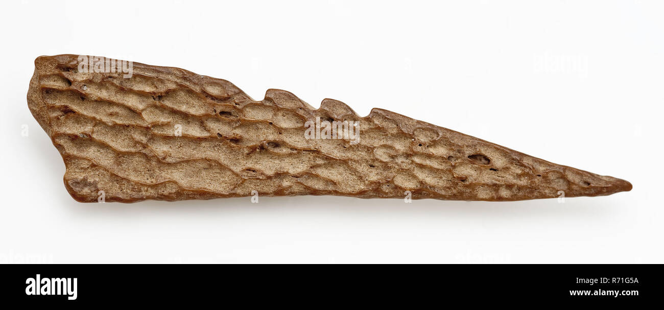 Legs pointed with three barbs, pointed harpoon soil found bone, sawn ...