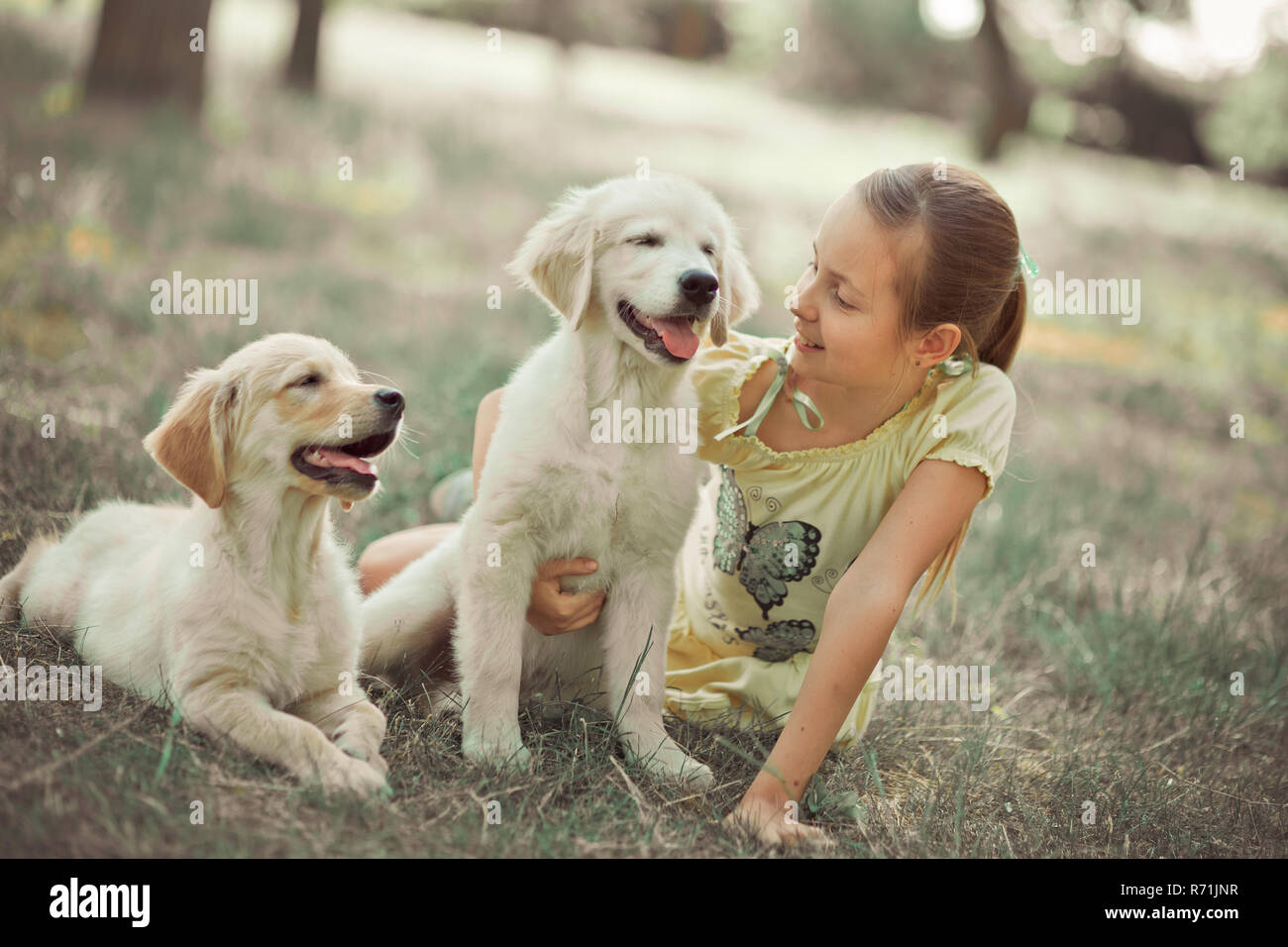Retriever pup Lovely scene cute young teen girl enjoying posing summer ...
