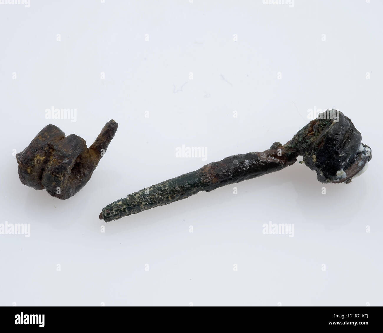 Curved fibula fragment hi-res stock photography and images - Alamy