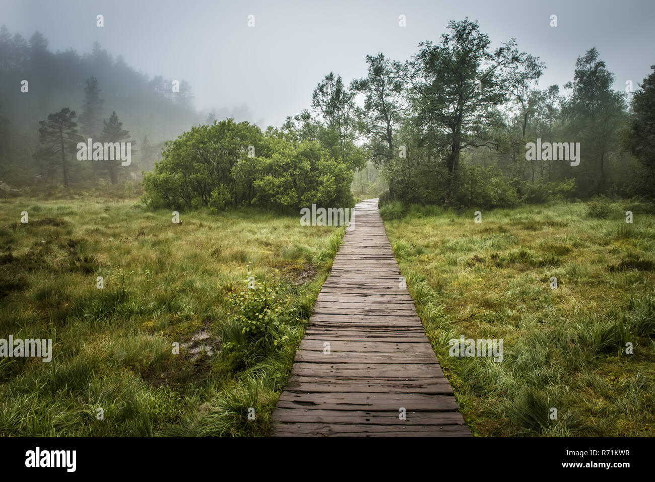 Swamp wooden path walkway to Trolltunga, Norway Stock Photo - Alamy