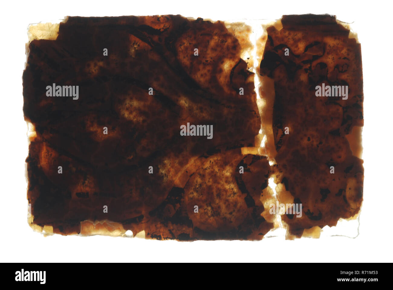 Large glazed Cut Out Stock Images & Pictures - Alamy
