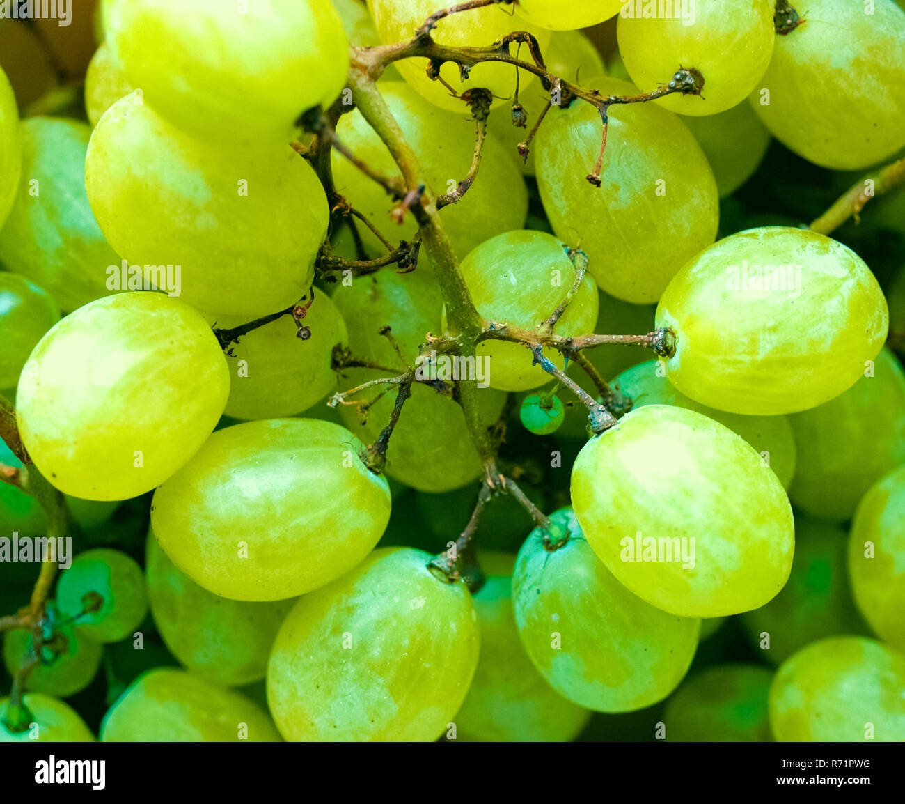 white grape fruit food Stock Photo - Alamy