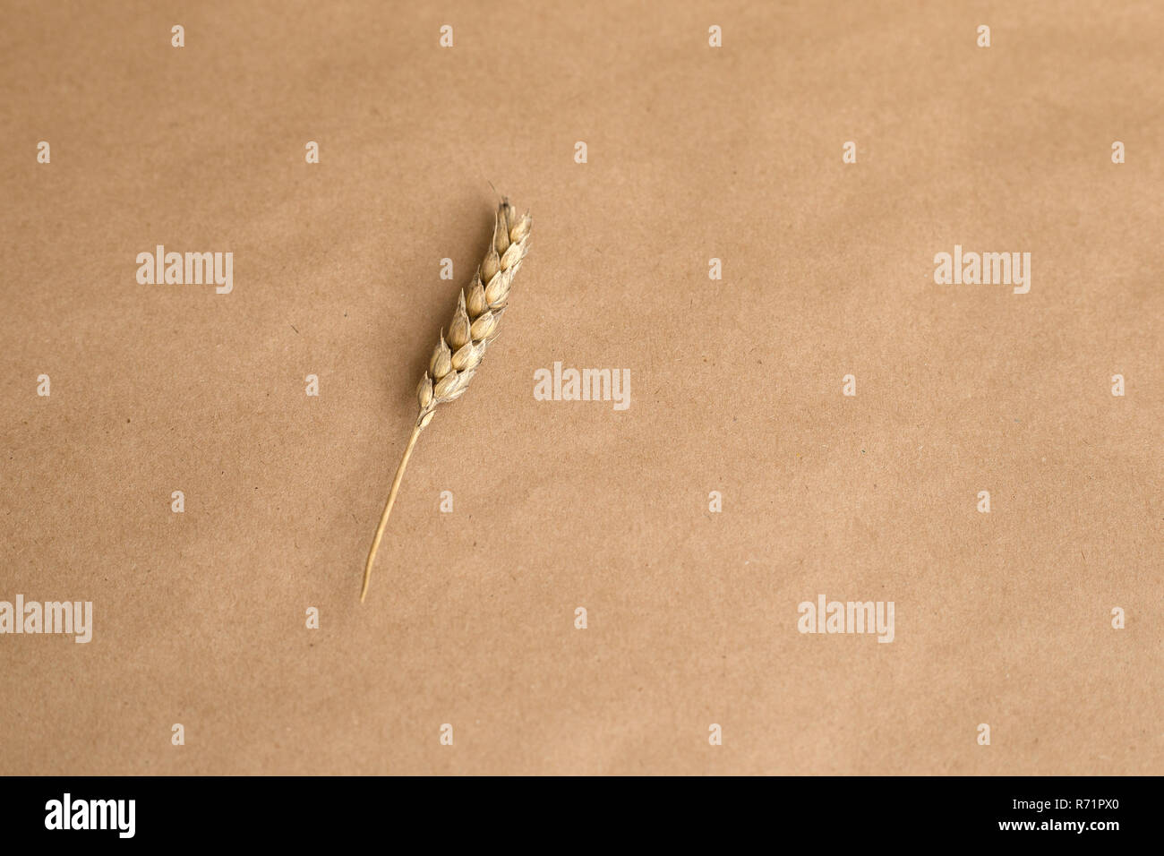 Ears of oat on the background of kraft paper Stock Photo - Alamy