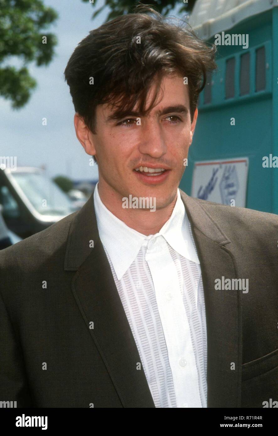 SANTA MONICA, CA - MARCH 27: Actor Dermot Mulroney attends the Eighth ...