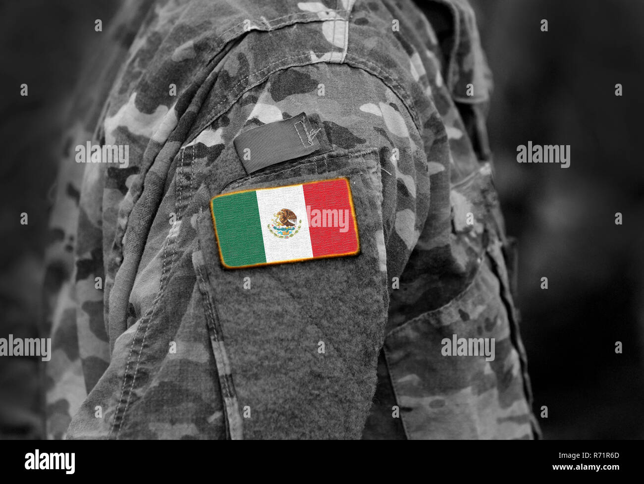 Mexican Army Soldier High Resolution Stock Photography and Images - Alamy