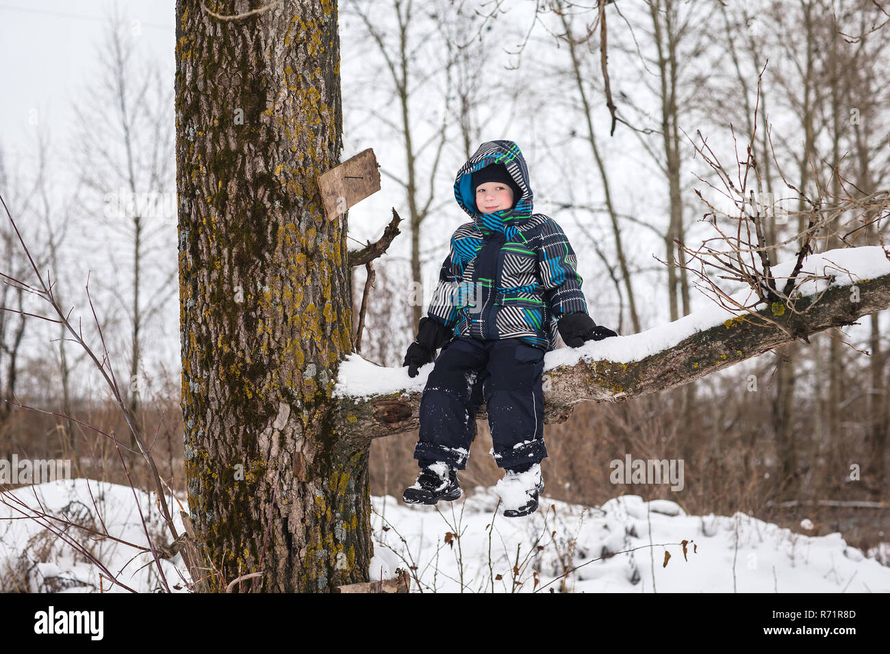 Boy on the tree hi-res stock photography and images - Alamy