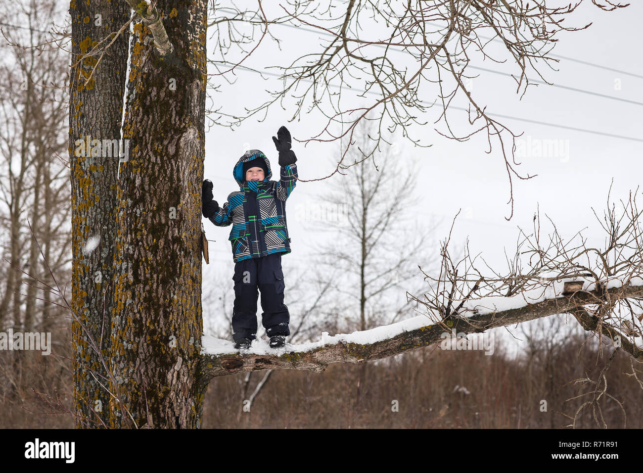 Boy on the tree hi-res stock photography and images - Alamy