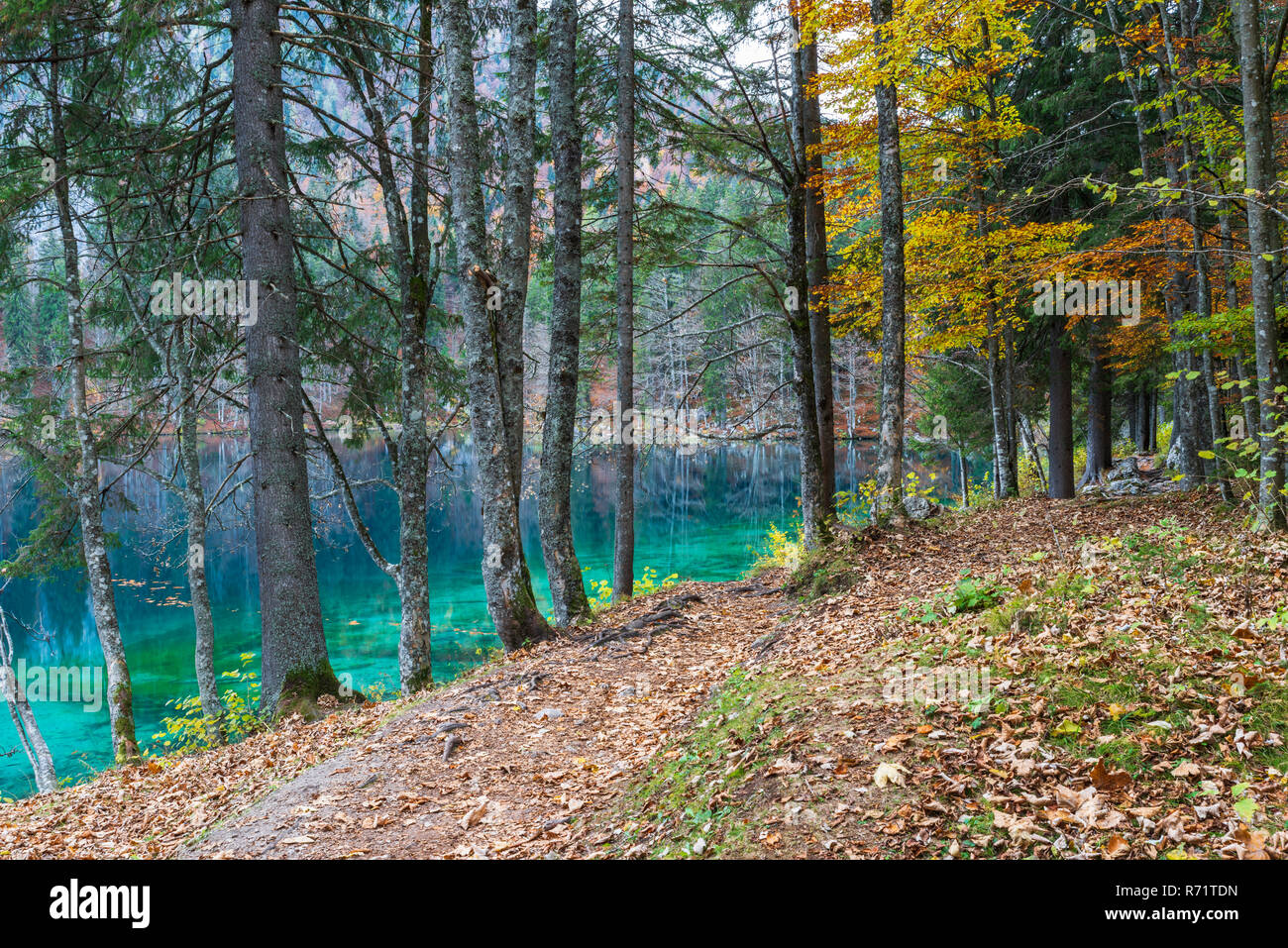 Tarvisio Tarvisio High Resolution Stock Photography and Images - Alamy