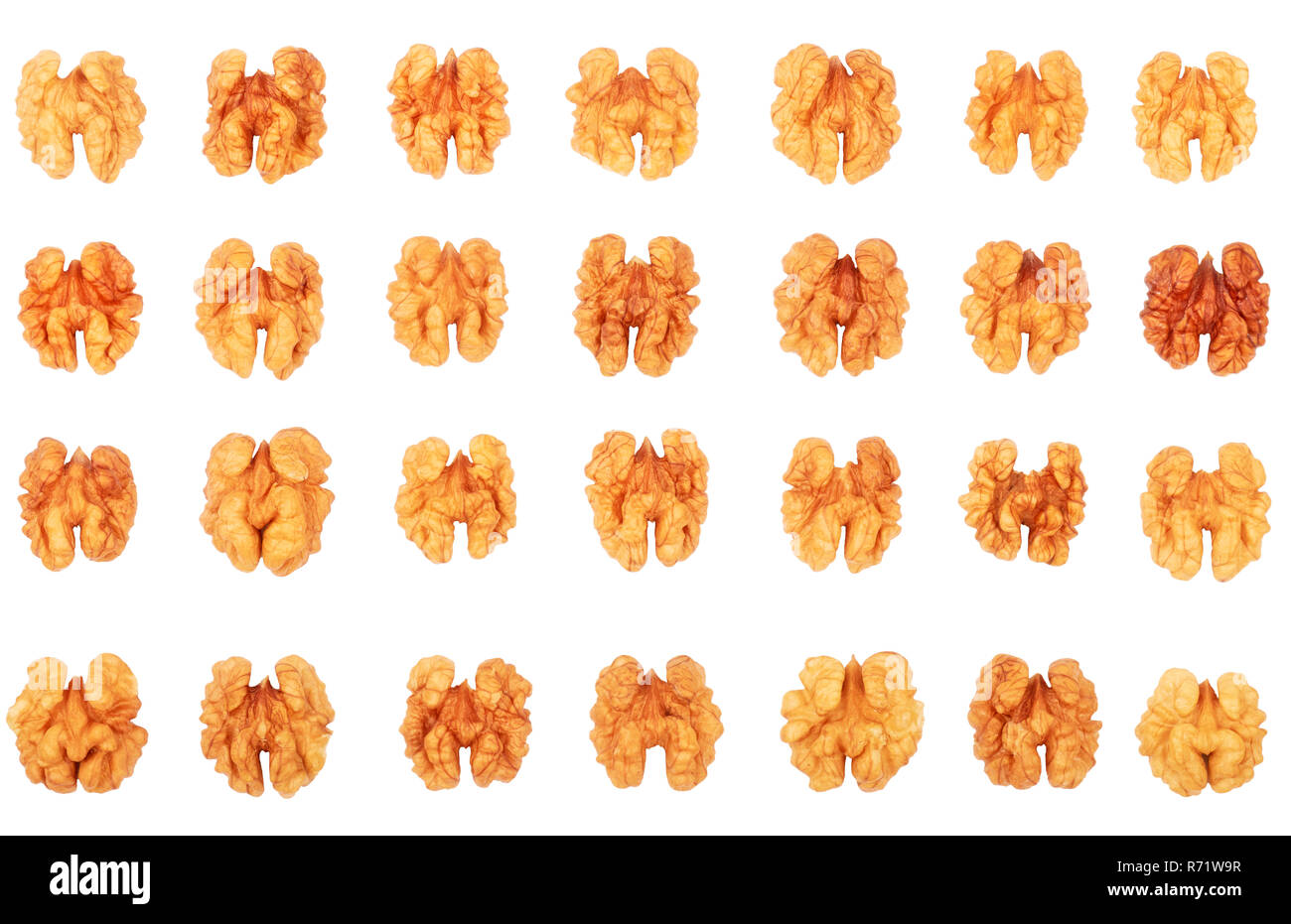 Walnut kernels pattern Cut Out Stock Images & Pictures - Alamy