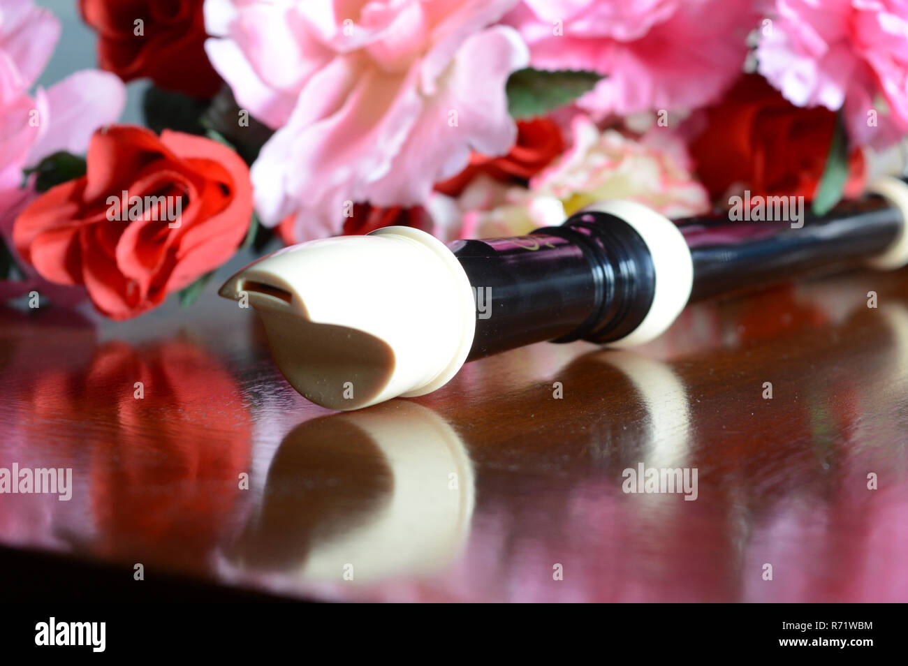 Recorder instrument hi-res stock photography and images - Alamy