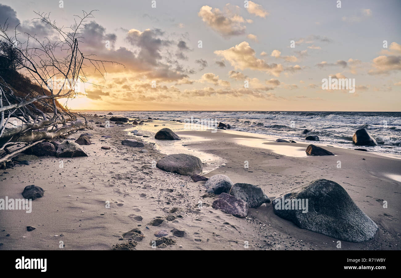 Beach with fallen tree at sunset, color toning applied Stock Photo - Alamy