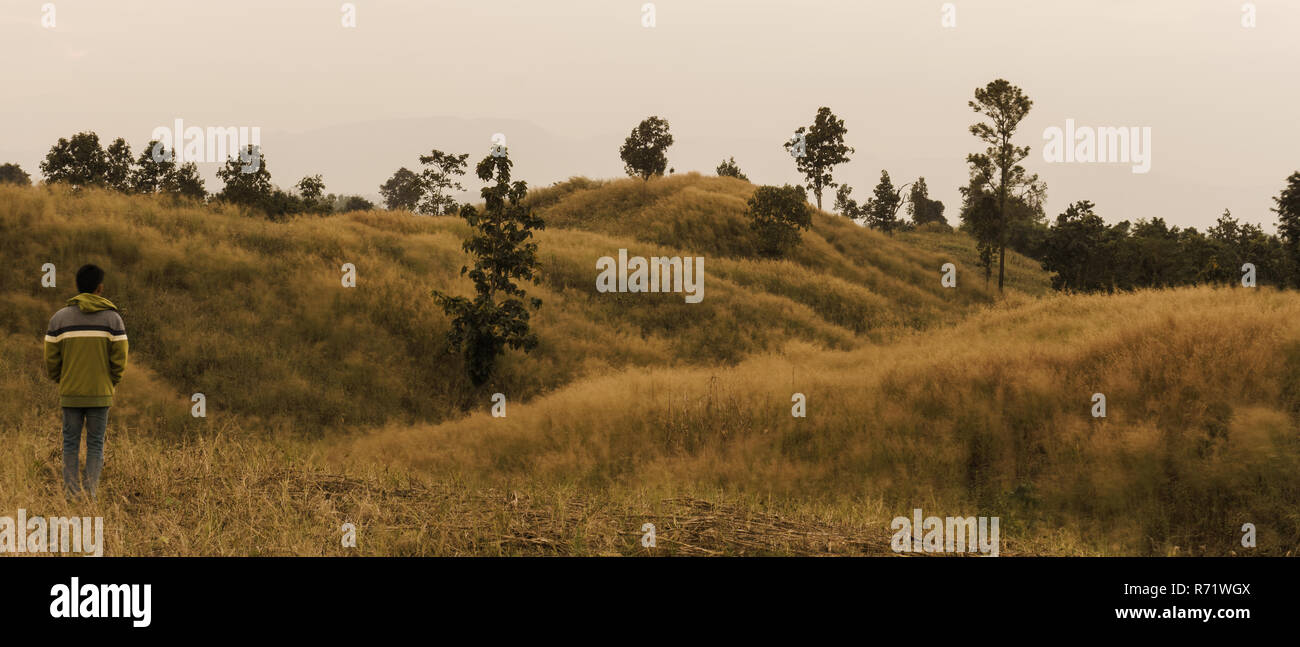 Standing in the golden field. At sunset Stock Photo - Alamy