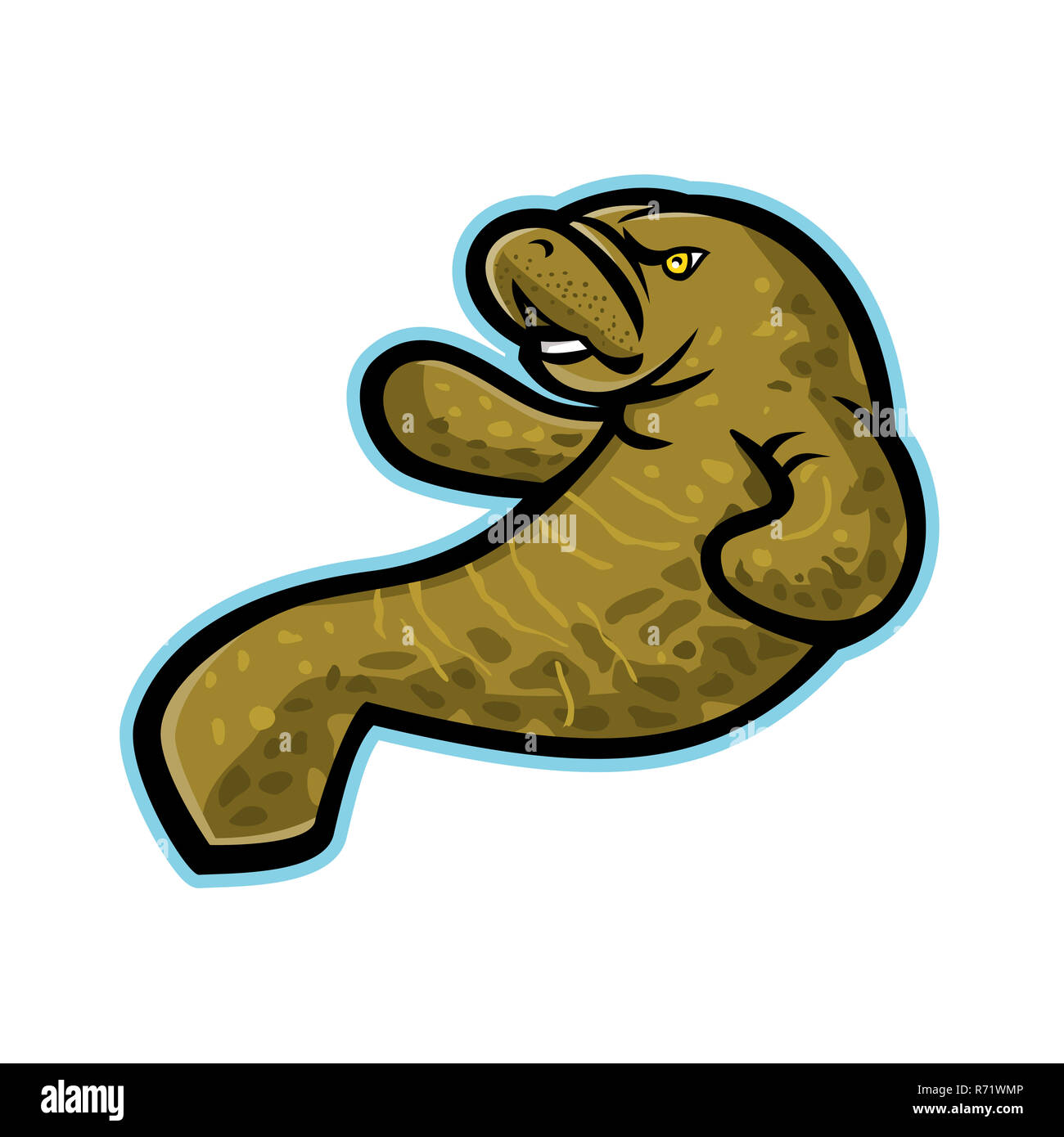 African manatee hi-res stock photography and images - Alamy