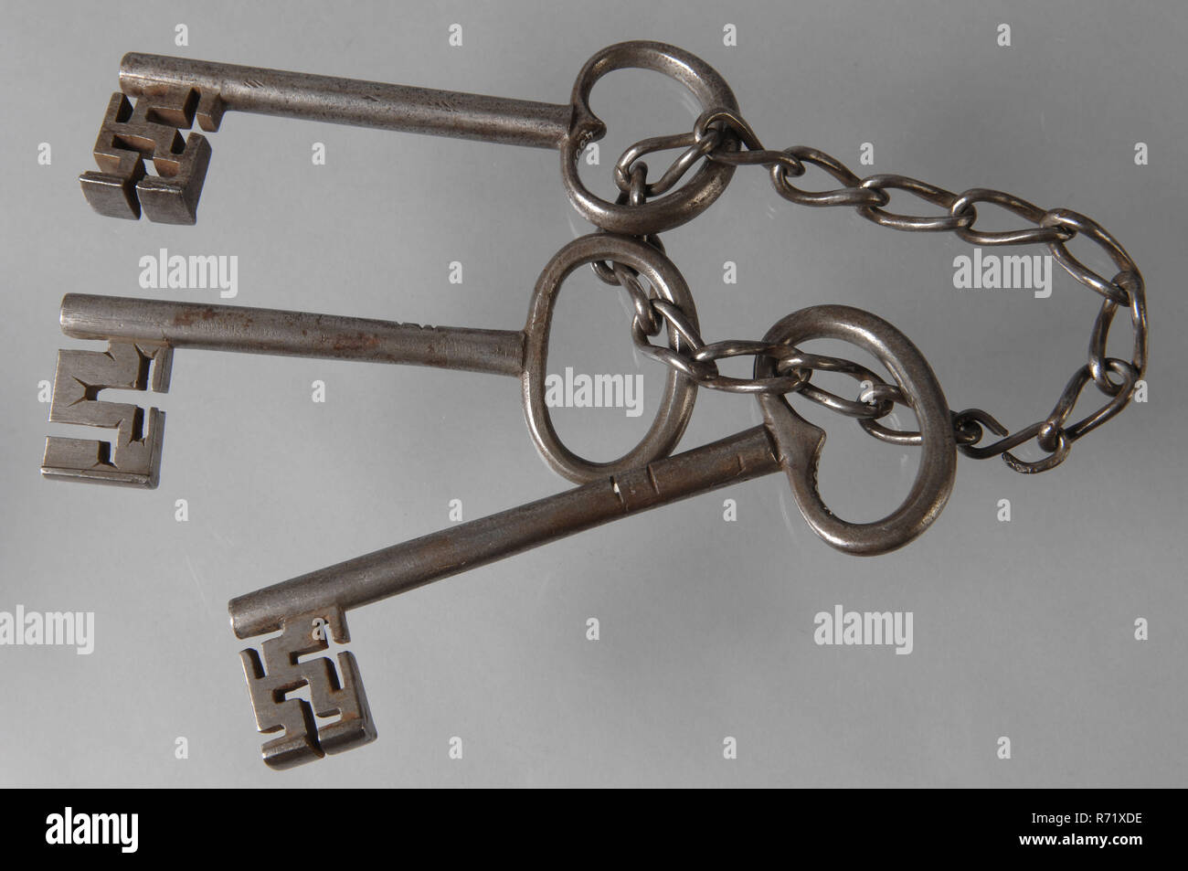 Bones cross section hi-res stock photography and images - Alamy