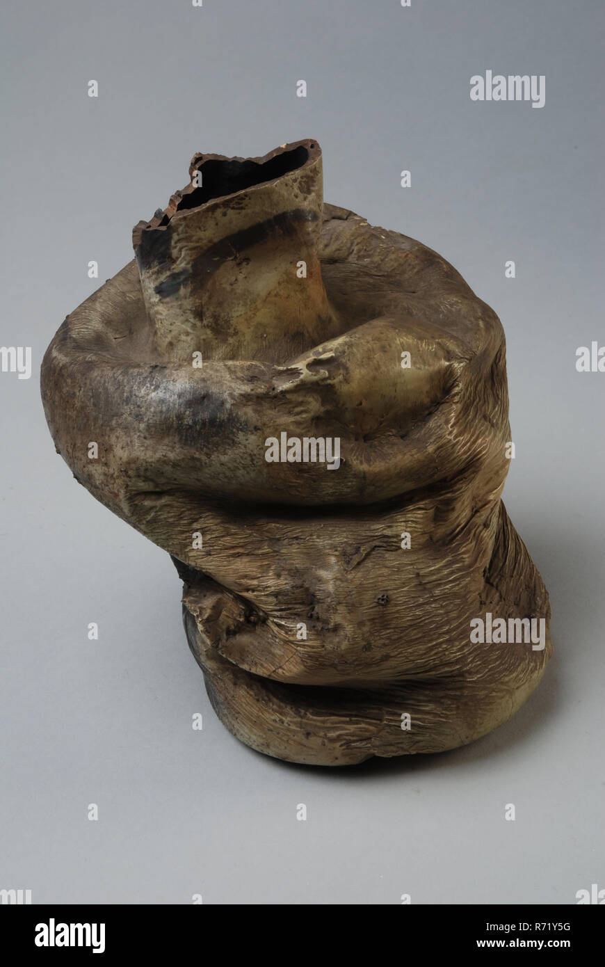 Tromp sugar hi-res stock photography and images - Alamy