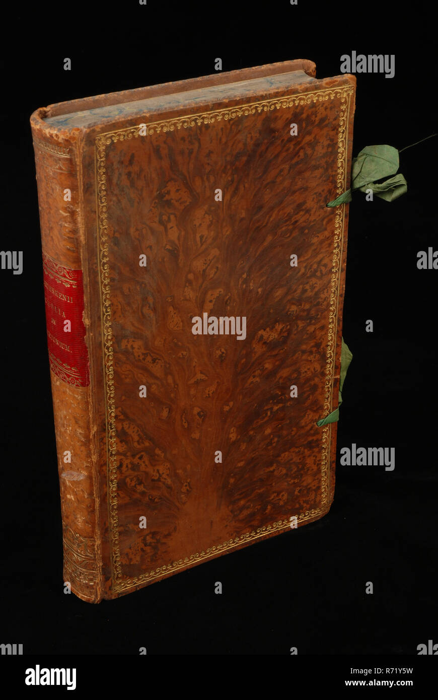 Dav High Resolution Stock Photography and Images - Alamy