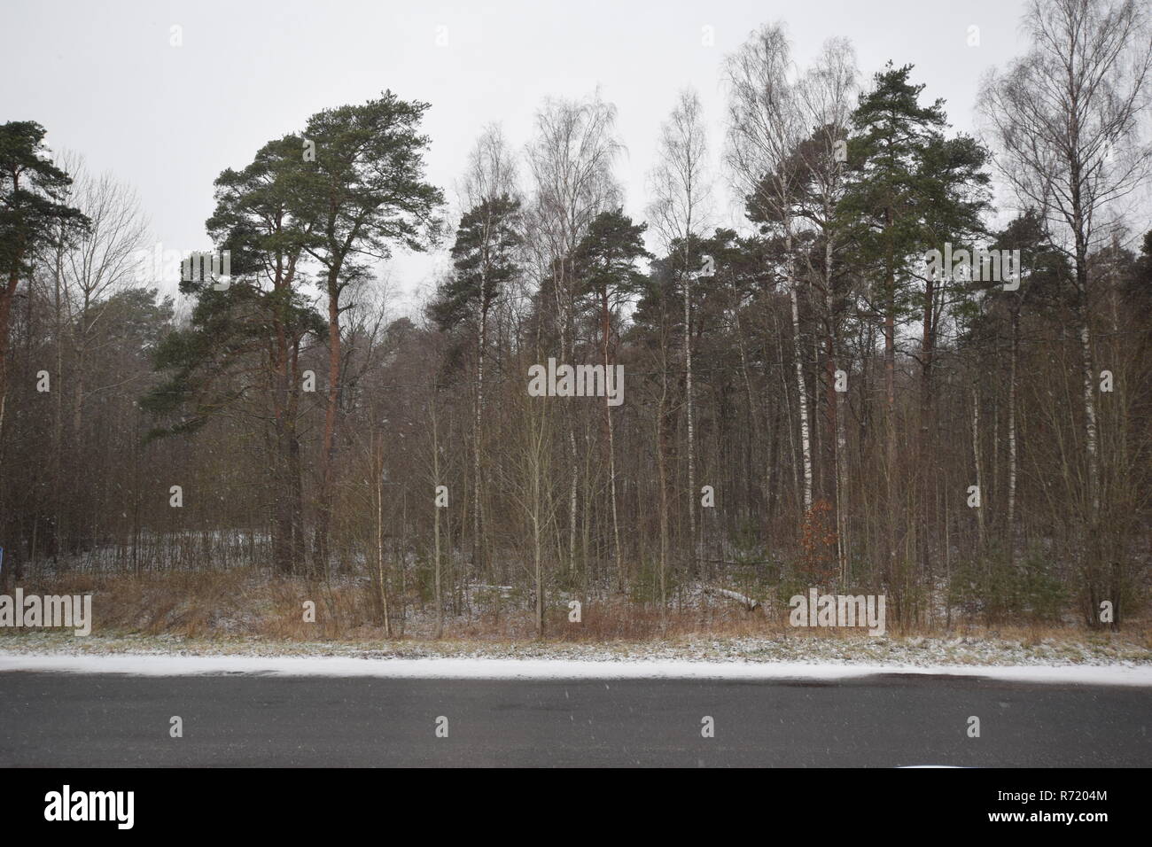 Roadside treeline hi-res stock photography and images - Alamy